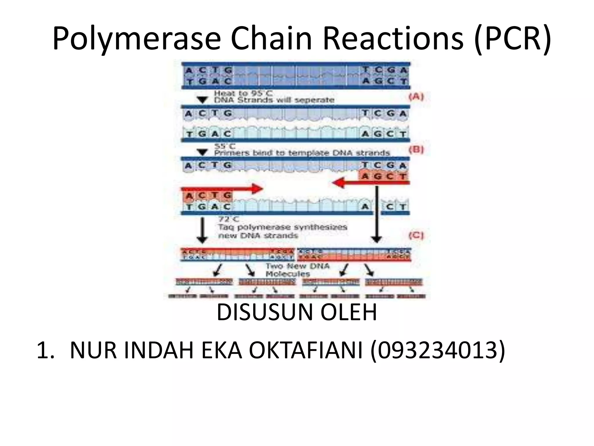 Polymerase chain reactions (pcr) | PPTX