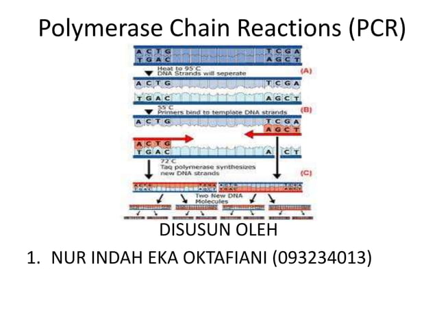 Polymerase chain reactions (pcr) | PPTX