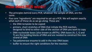 polymerase chain reaction work-flow by Dr kelvin Agimogim.pptx