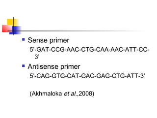 Polymerase presentation 2 | PPT