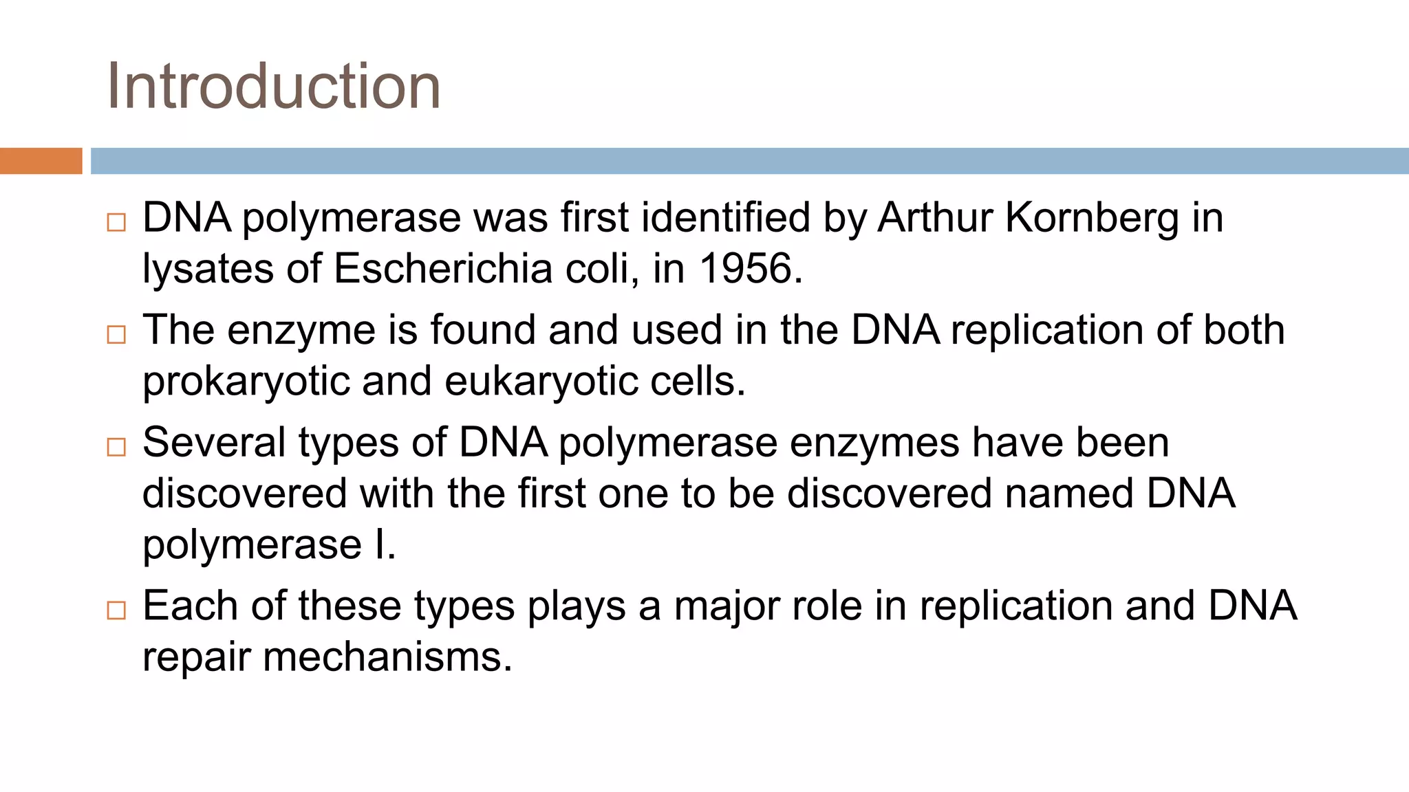 polymerase | PPTX