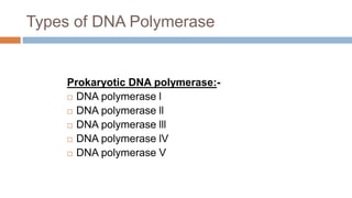 polymerase | PPTX