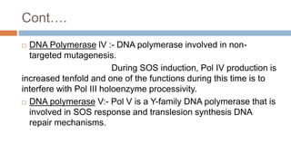 polymerase | PPTX