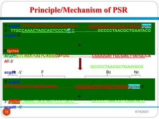 Polymerase spiral reaction | PPTX
