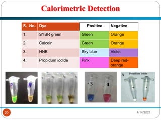 Polymerase spiral reaction | PPTX