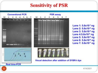 Polymerase spiral reaction | PPTX