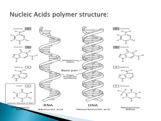 Polymer Chemistry In Bio Polymer | PPTX