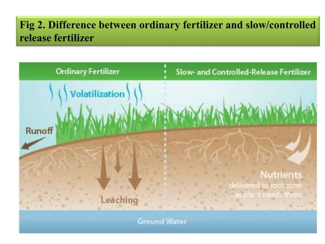 Polymer coated fertilizers an advance technique in nutrient management ...