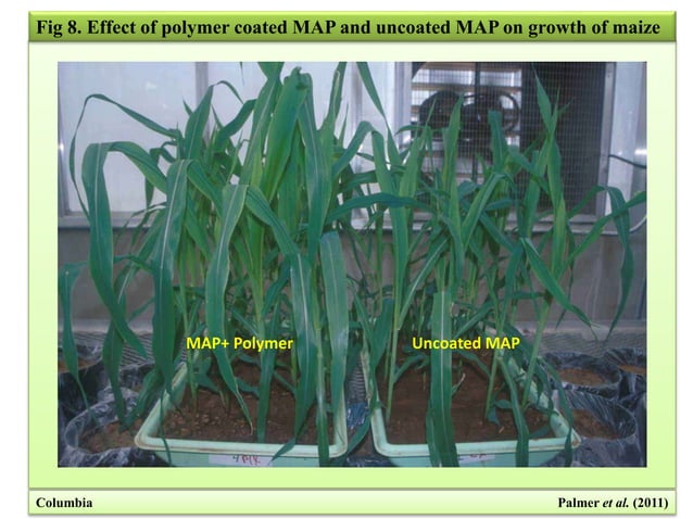 Polymer coated fertilizers an advance technique in nutrient management ...