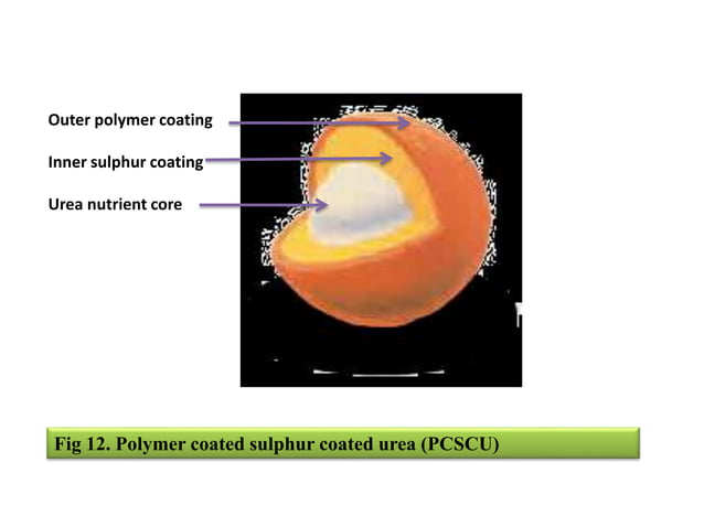 Polymer coated fertilizers an advance technique in nutrient management ...