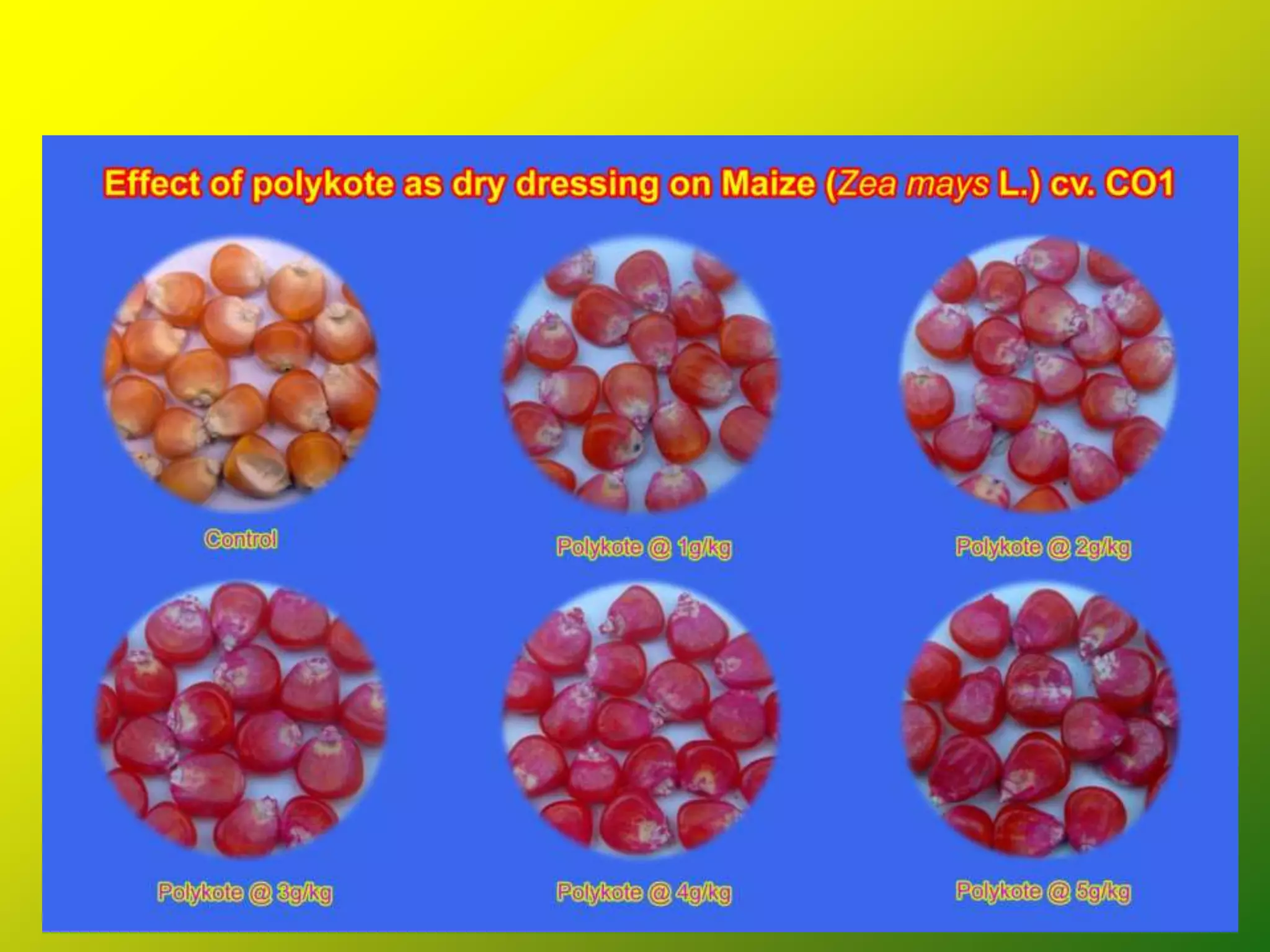 Seed Polymer Coating | PPT