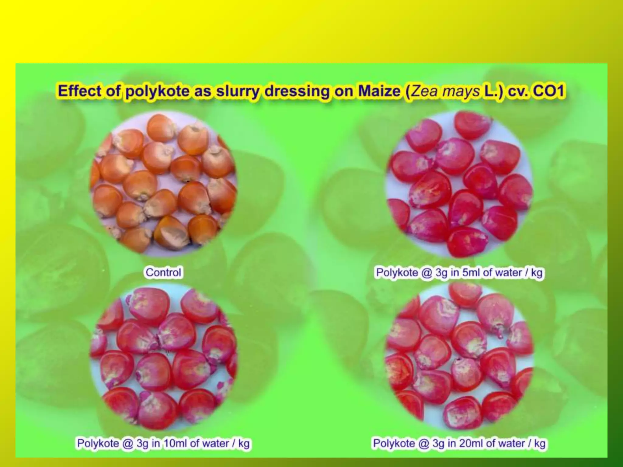 Seed Polymer Coating | PPT