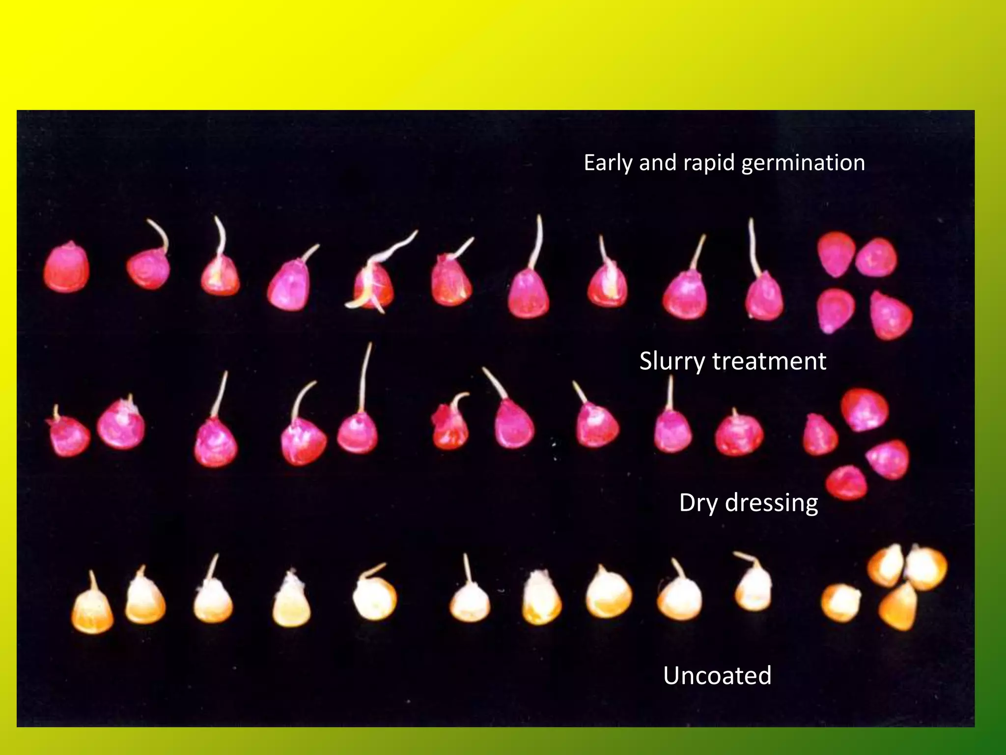Seed Polymer Coating | PPT