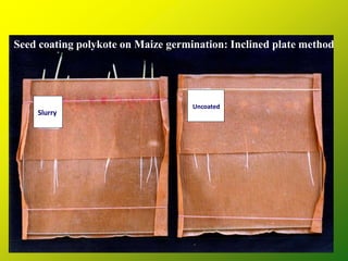 Seed Polymer Coating | PPT