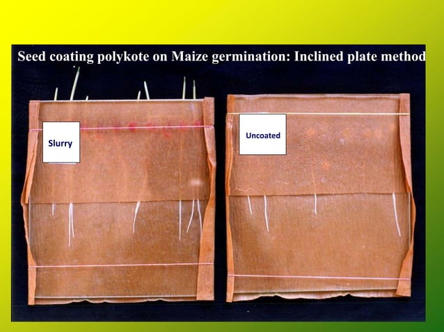 Seed Polymer Coating | PPT