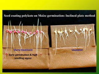 Seed Polymer Coating | PPT