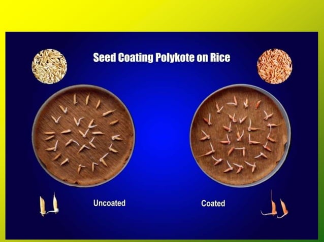 Seed Polymer Coating | PPT