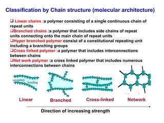 Polymer Chain Structure