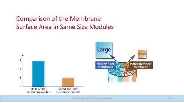 Polymeric membrane | PDF | Chemistry | Science