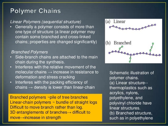 Branched Polymer Structure
