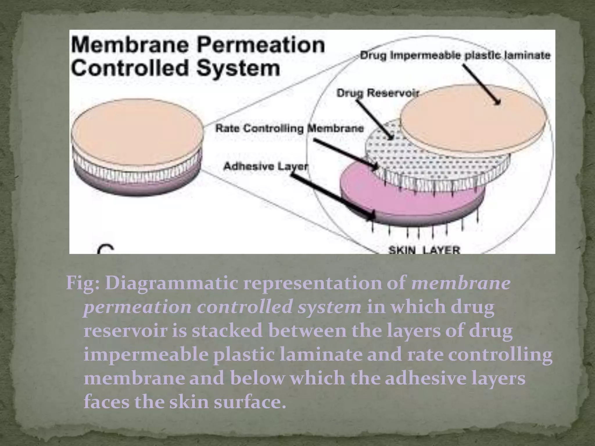 Polymer membrane permeation cdds | PPTX