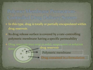 Polymer membrane permeation cdds | PPT