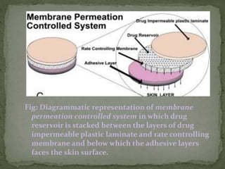 Polymer membrane permeation cdds | PPT