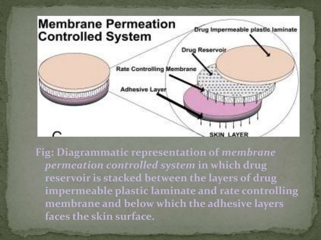 Polymer membrane permeation cdds | PPT