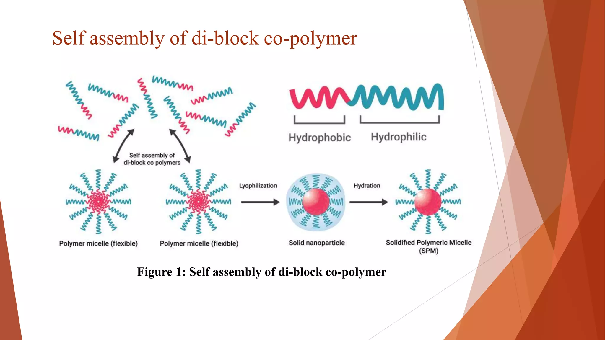 Drug Delivery Through Polymer Micelle | PPTX | Chemistry | Science