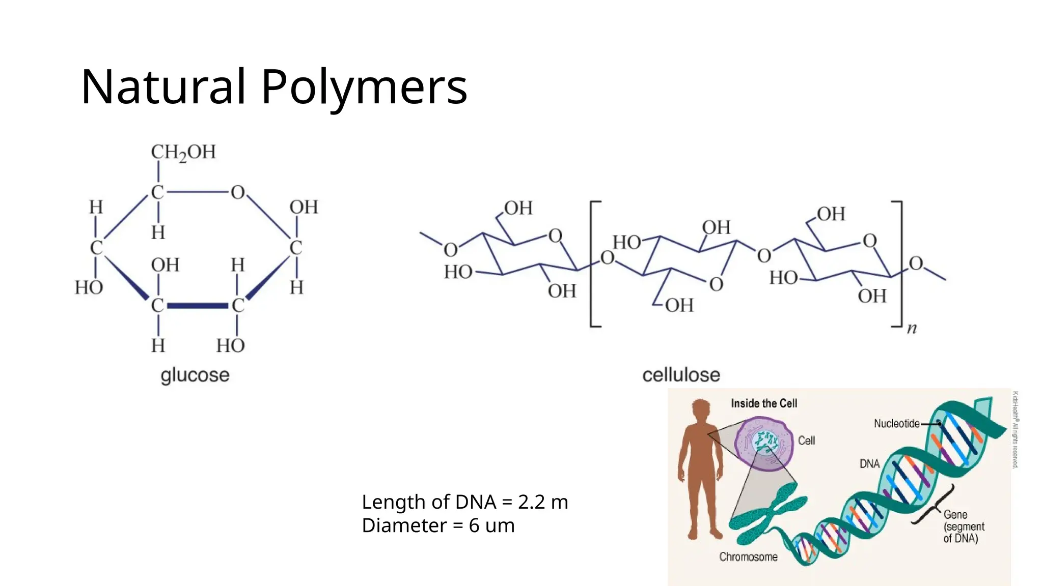 Polymer processing Leacture 2 Classifications.pptx