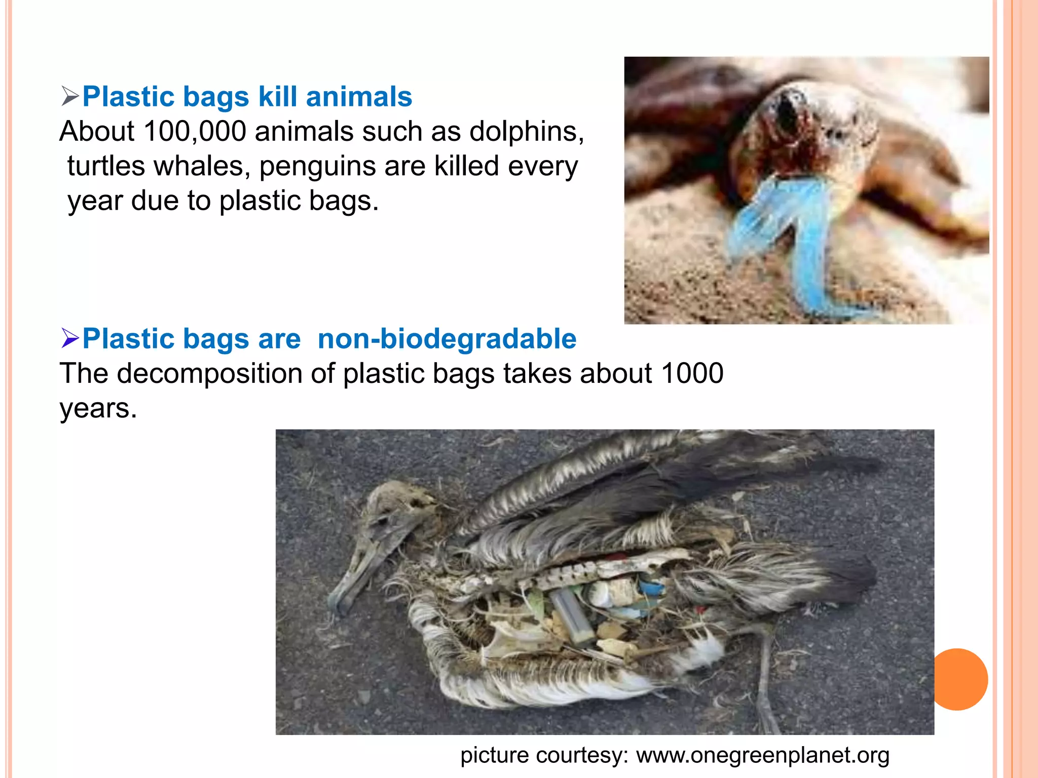 Polymer Recycling & Uses | PPTX