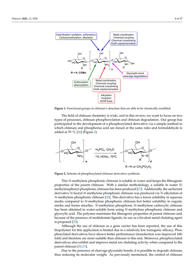 polymers.pdf