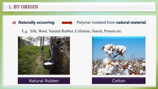 Polymers and It's Classification | PPTX