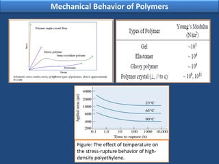 Polymers and its Viscoelastic Nature | PPSX