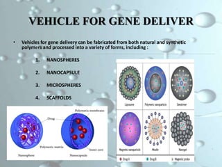 Polymers controlled delivery of therapeutic nucleic acid | PPT