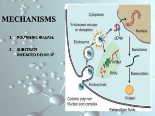 Polymers controlled delivery of therapeutic nucleic acid | PPTX