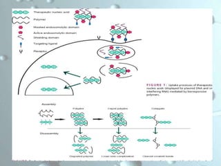 Polymers controlled delivery of therapeutic nucleic acid | PPTX