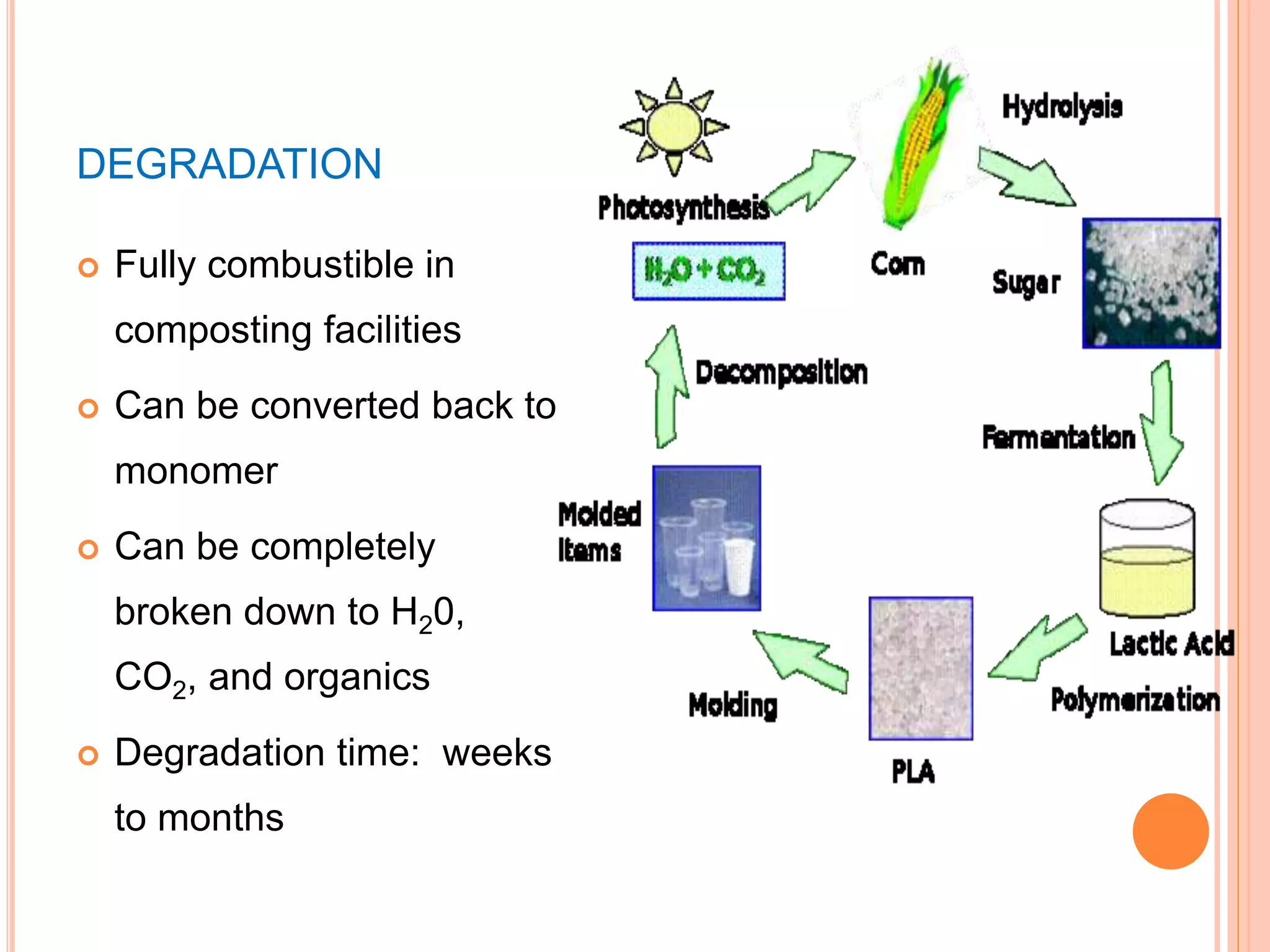 Polymers in daily life | PPTX