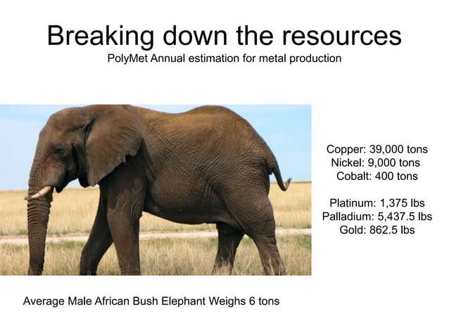 PolyMet Presentation | PPT