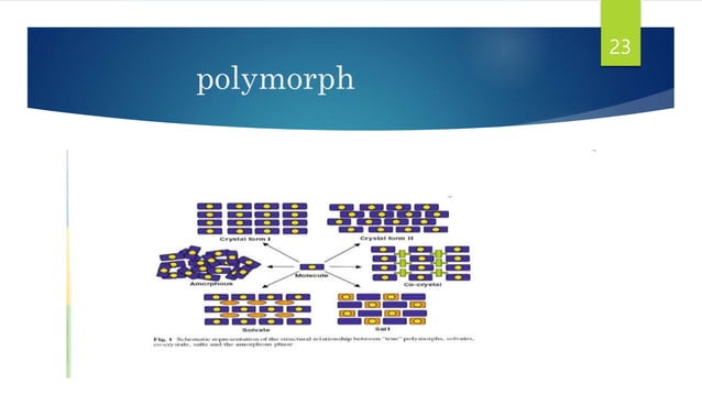 polymorph.pptx