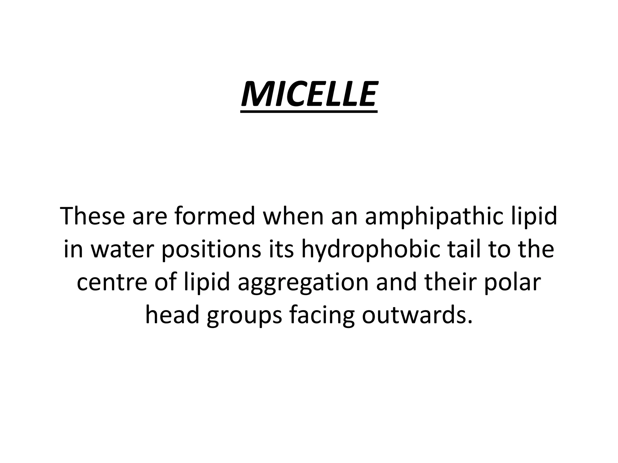 Polymorphic structures of amphiphilic molecules in aqueous solution | PPTX