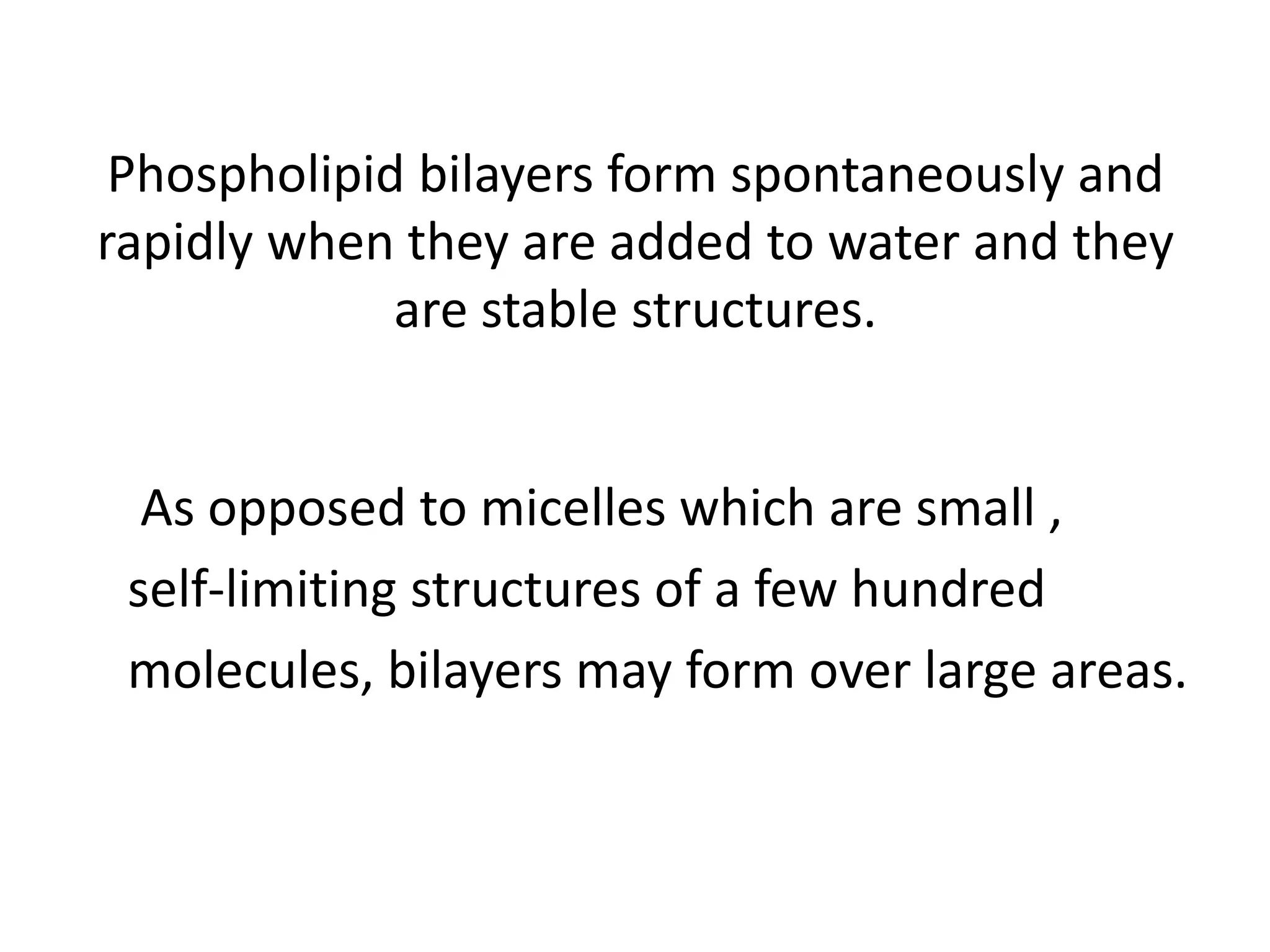 Polymorphic structures of amphiphilic molecules in aqueous solution | PPTX