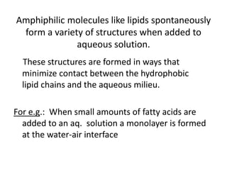 Polymorphic structures of amphiphilic molecules in aqueous solution | PPTX