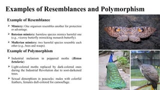 POLYMORPHISM and it's types in Botany.pptx