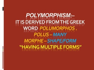 Polymorphism | PPSX | Programming Languages | Computing