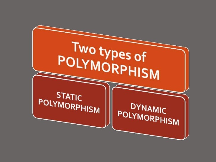 Polymorphism