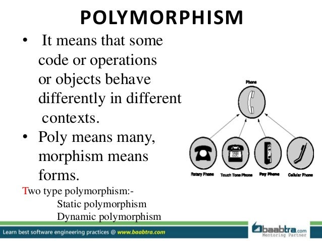 Polymorphism