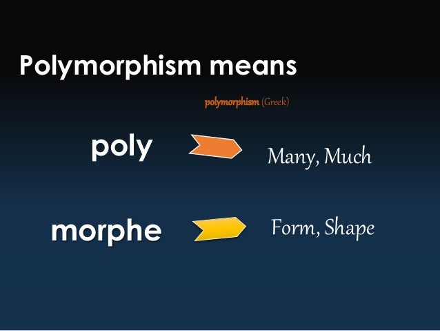 Polymorphism 