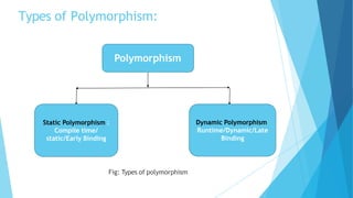 Polymorphism | PPTX | Programming Languages | Computing
