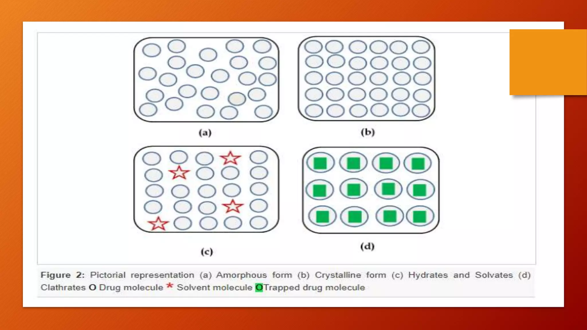 Polymorphism. | PPTX